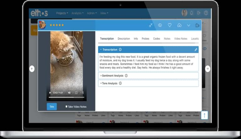 How to Conduct a Remote Contextual Inquiry